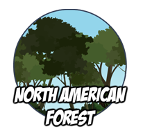 Wild Kratts . Animal Match | PBS KIDS